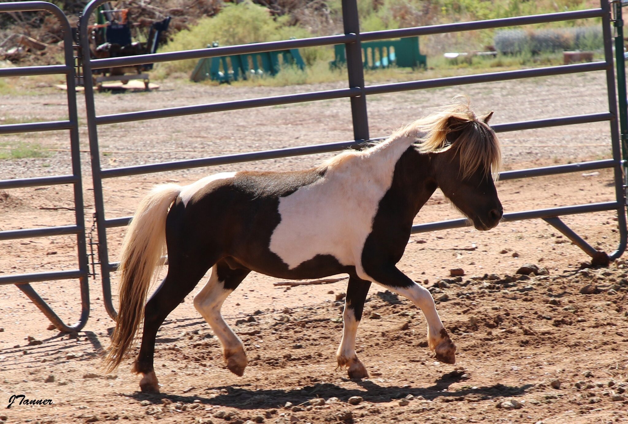 Holy Ghost Ranch, Inc. | Taylor, Arizona